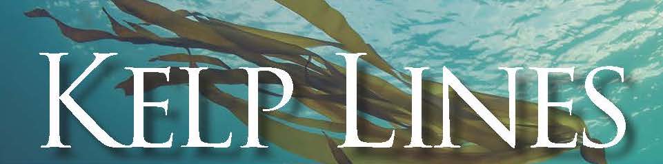 Kelp Lines – A New Collaboration - Ocean Strategies