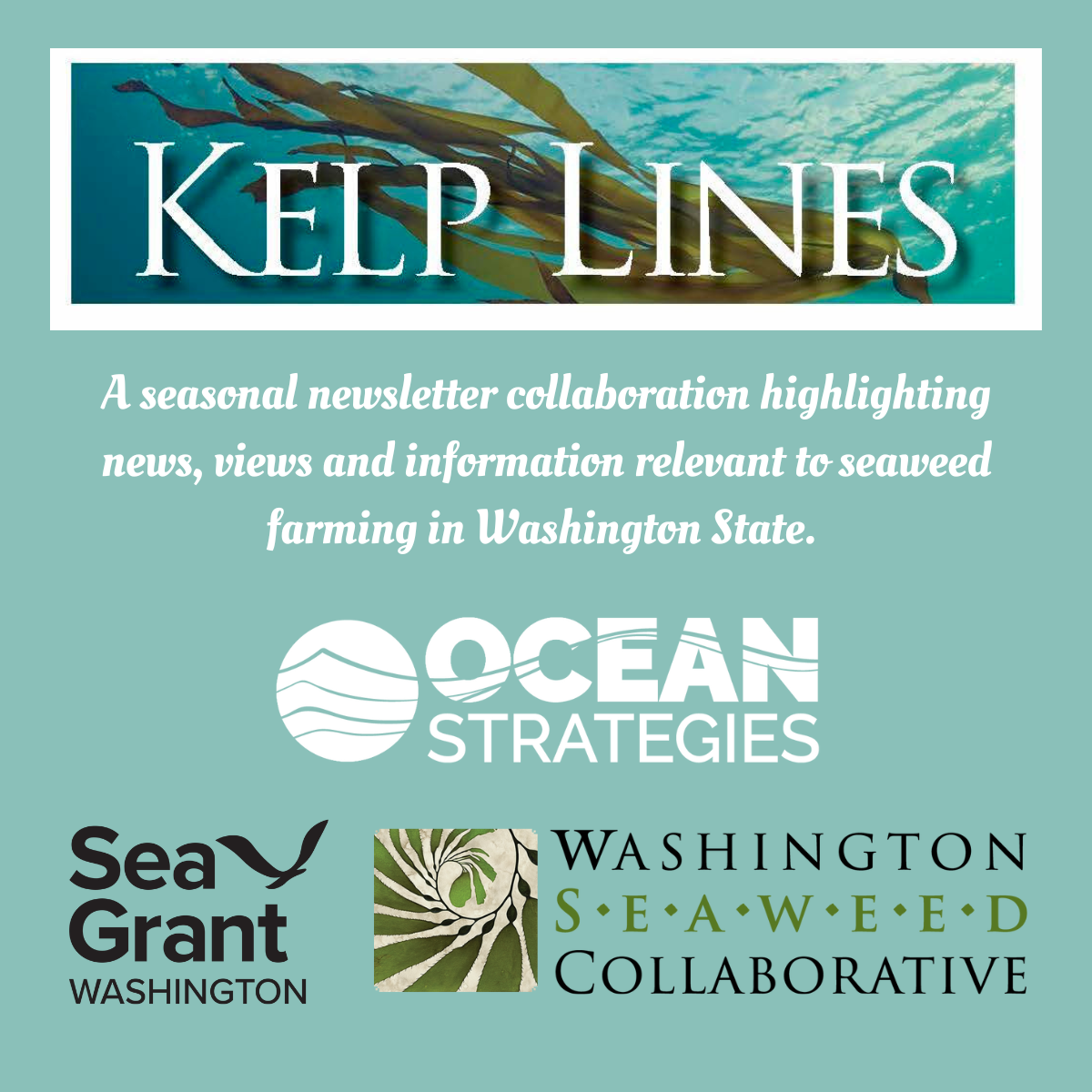 Kelp Lines – A New Collaboration - Ocean Strategies