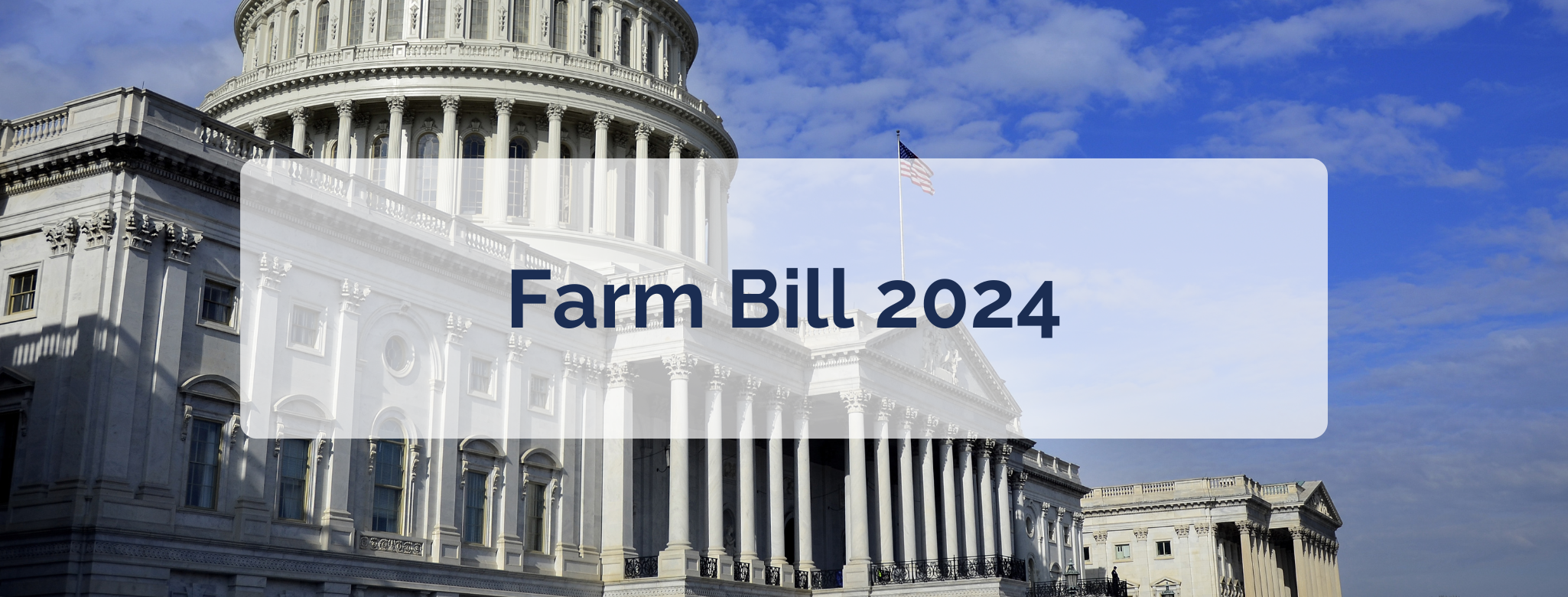 Special Report: Farm Bill 2024 - Ocean Strategies